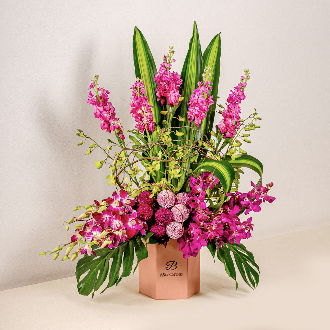 Captivating Matthiola & Orchid Flower Box | Free Delivery | BloomThis