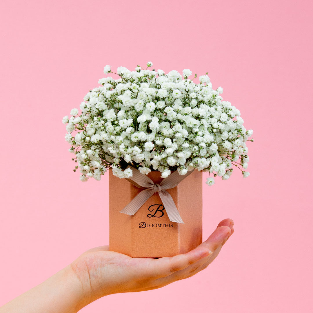 Joyful Baby's Breath Mini Flower Box | Free Delivery | Bloomthis SG