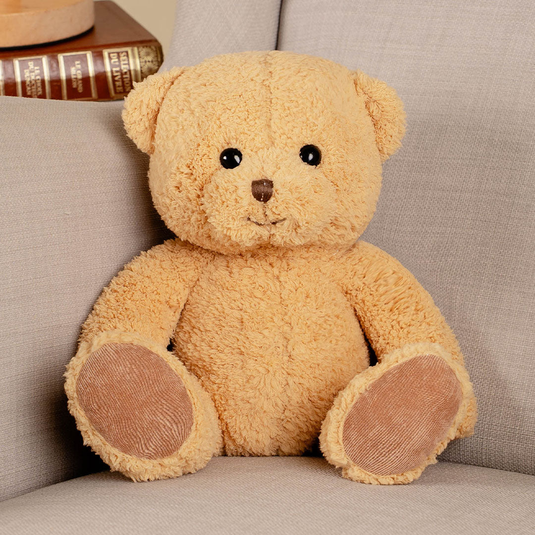 Cassidy Brown Bear Plushie (AO) | Free Delivery | Bloomthis